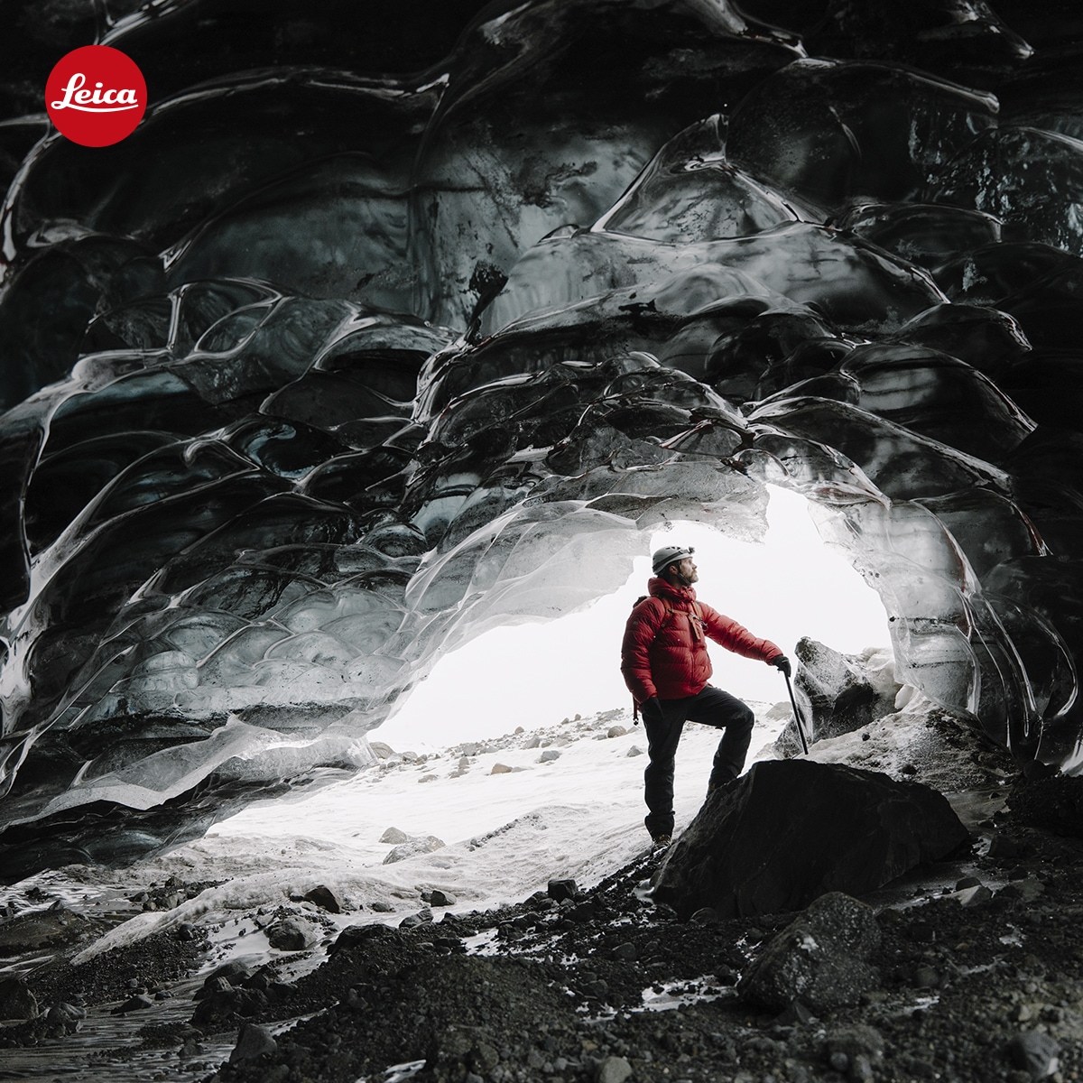 Picter Contests – Login